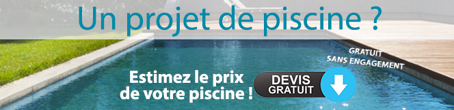 Top 10 des accessoires indispensables pour nettoyer une piscine - Guide-Piscine.fr
