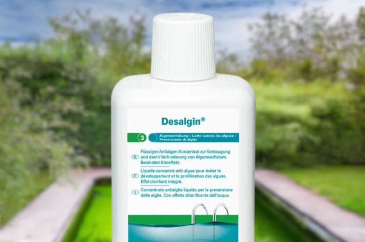 Produits anti-algues piscine au meilleur prix