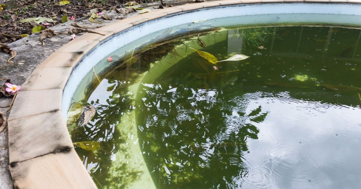 L'eau de votre piscine est verte ? Quelles vérifications