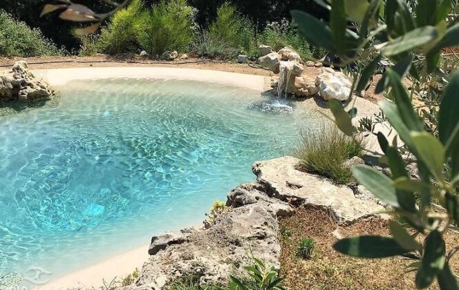 En photos : zoom sur les piscines Biodesign