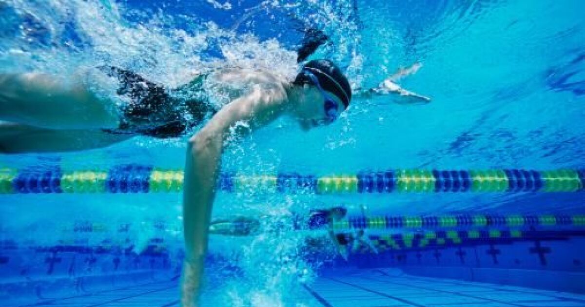 La natation au quotidien