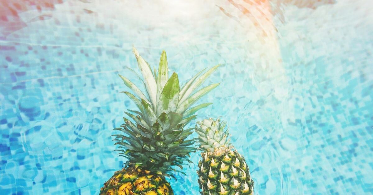 Lab’Box : Analysez l’eau de votre piscine avec Irrijardin Lab’Box : Analysez l’eau de votre piscine avec Irrijardin