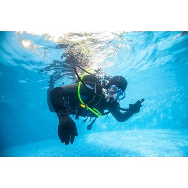 Guide de la plongée sous-marine ou en piscine - Guide-Piscine.fr