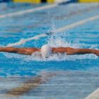 Comment améliorer sa technique de nage en papillon ? - Guide-Piscine.fr